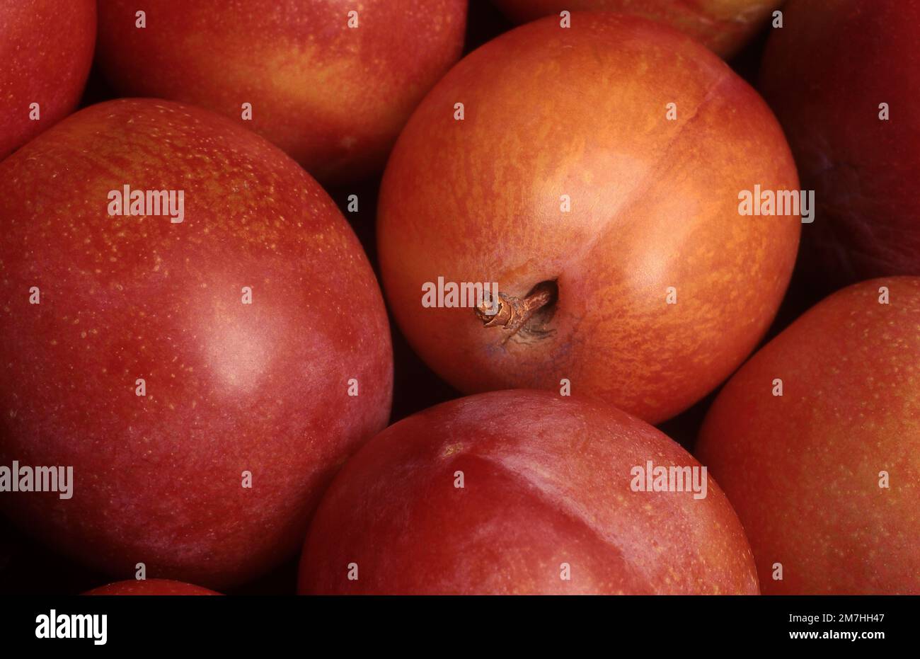 October sun hi-res stock photography and images - Alamy