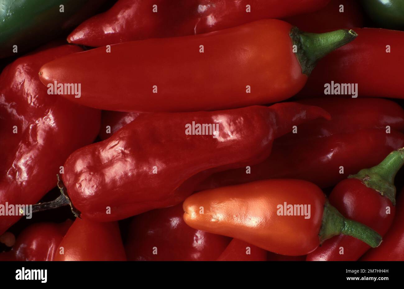 Rakkyo chilli hi-res stock photography and images - Alamy