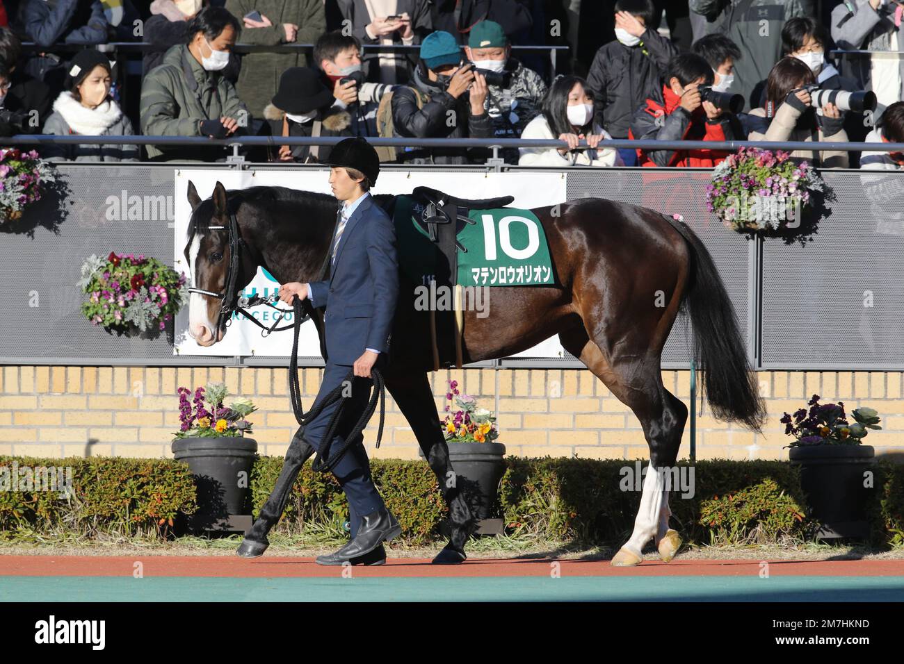 Aichi, Japan. 5th Jan, 2023. Matenro Orion is led through the paddock ...
