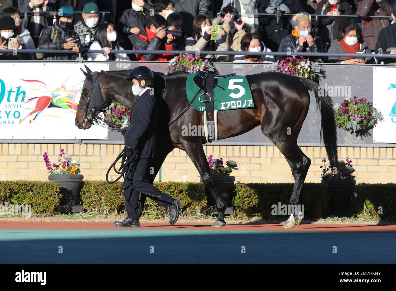 Aichi, Japan. 5th Jan, 2023. Air Lolonois is led through the paddock ...