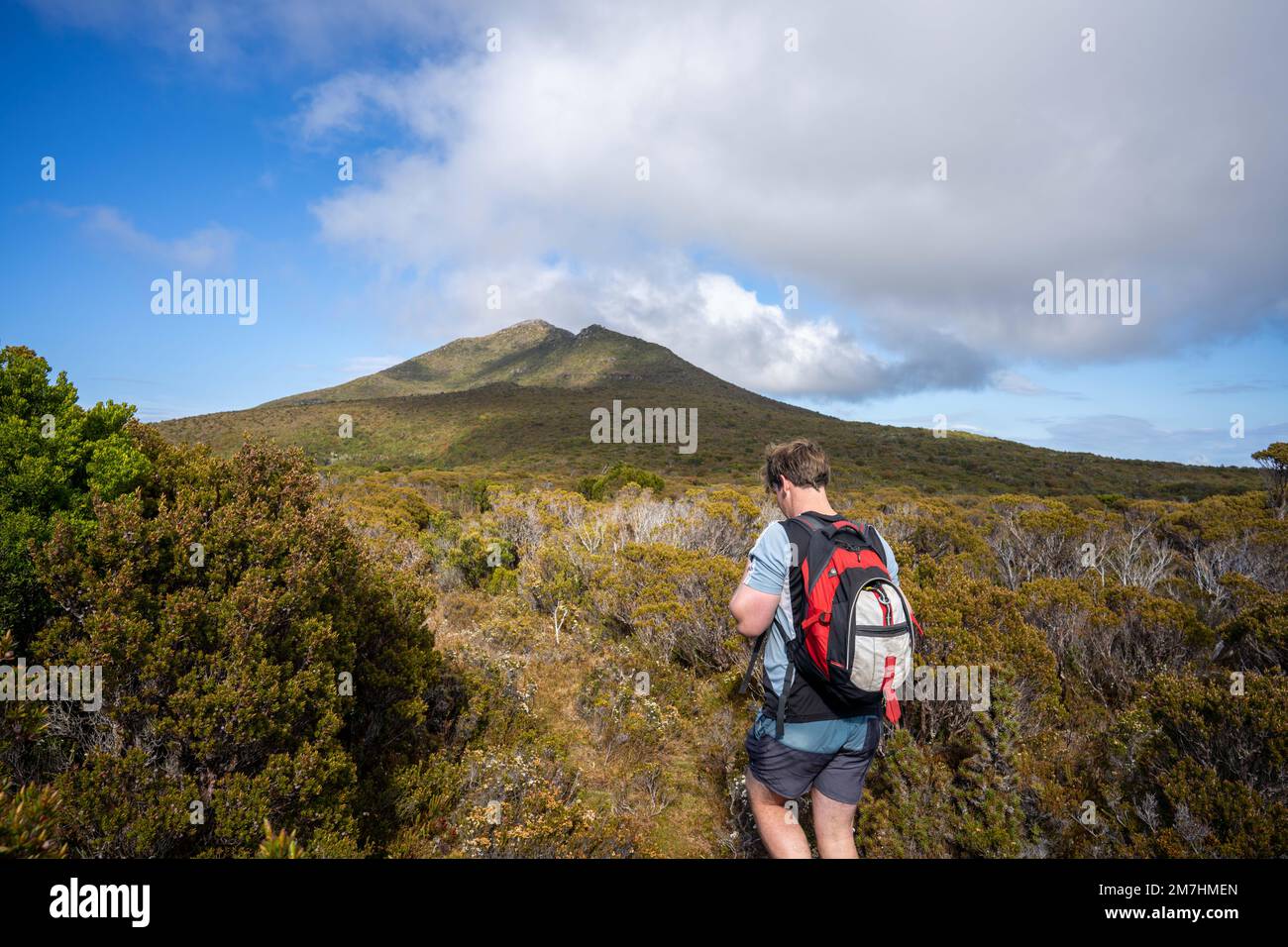Hiking in the outback in the bush in australia. Girl walking in the ...