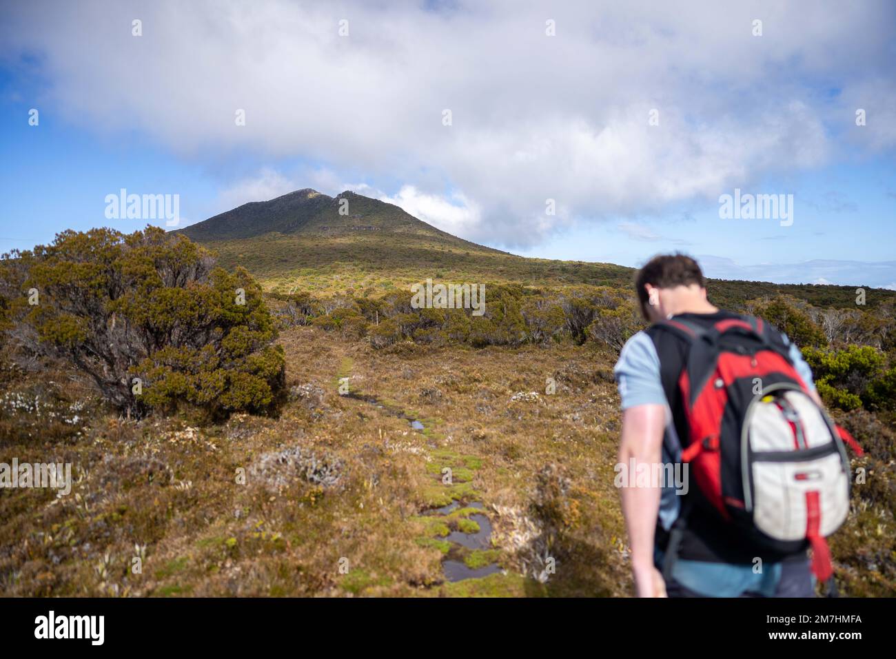Hiking in the outback in the bush in australia. Girl walking in the ...