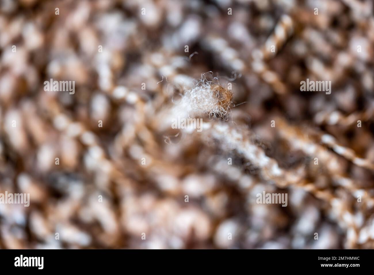 Loose carpet threads coming out of a seam Stock Photo - Alamy