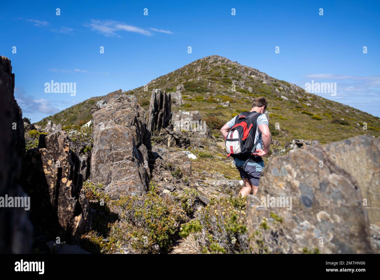 Hiking in the outback in the bush in australia. Girl walking in the ...