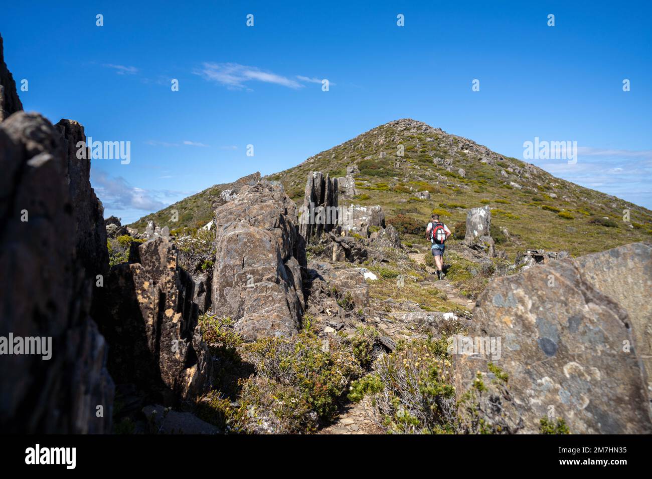 Hiking in the outback in the bush in australia. Girl walking in the ...
