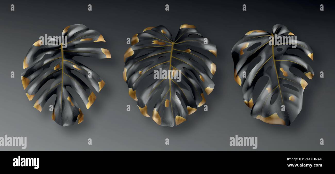 Tropic leaves design Stock Vector Images - Alamy