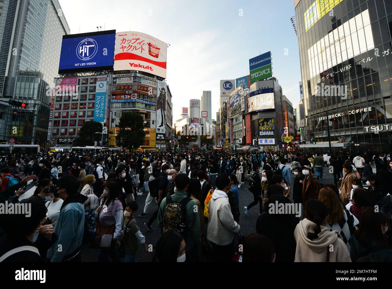 Shibuya Crossing is the world's busiest pedestrian crossing. Shibuya, Tokyo, Japan Stock Photo ...