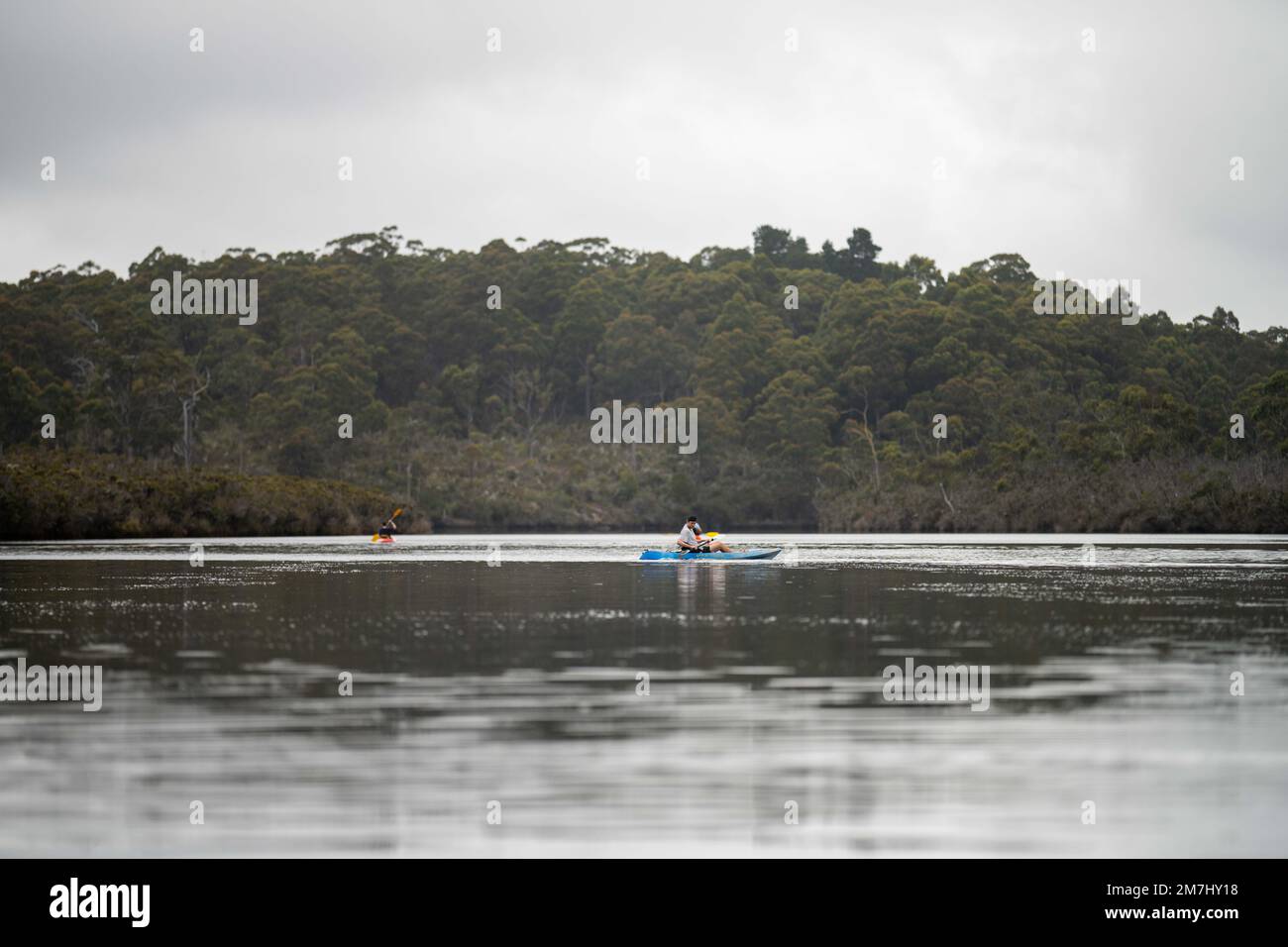 Kayaking on the river at sunset in summer in Australia Stock Photo - Alamy