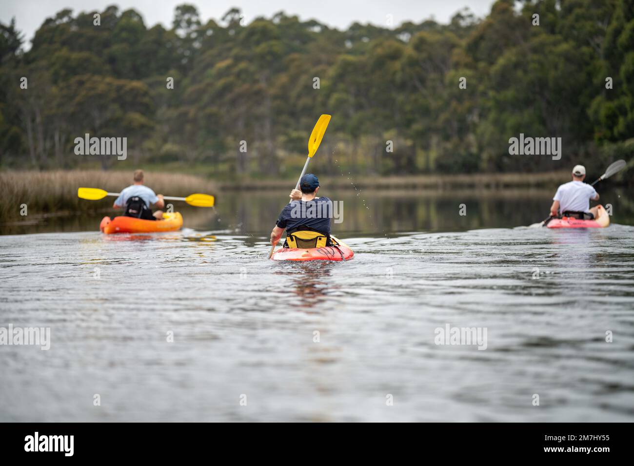 Adventure kayaking south australia hi-res stock photography and images ...