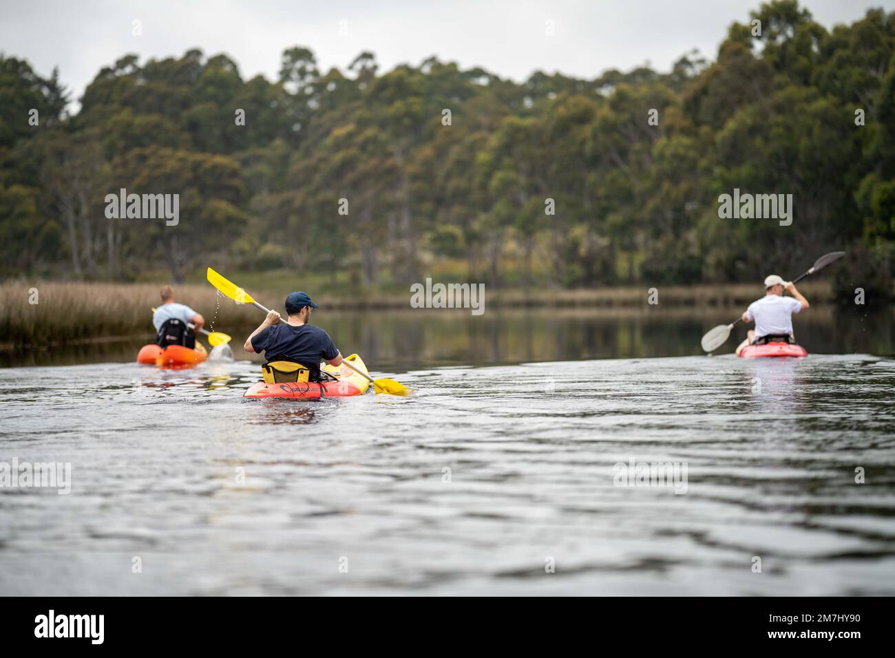 Kayaking on the river at sunset in summer in Australia Stock Photo - Alamy