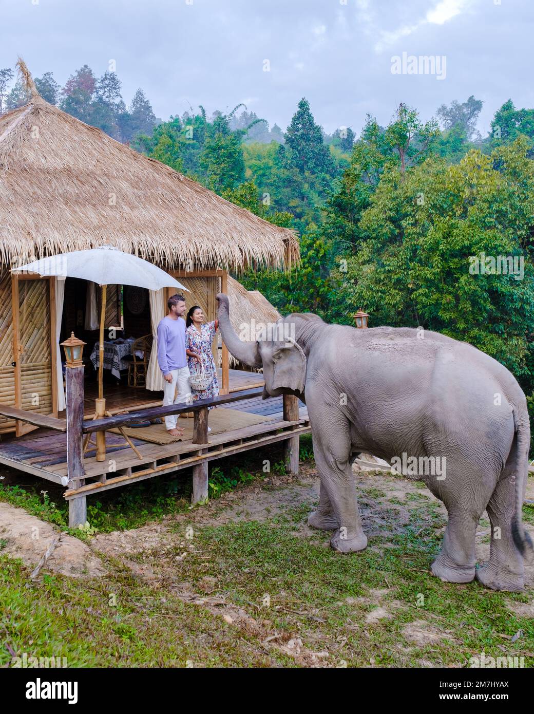 A couple visiting an Elephant sanctuary in Chiang Mai Thailand, an ...