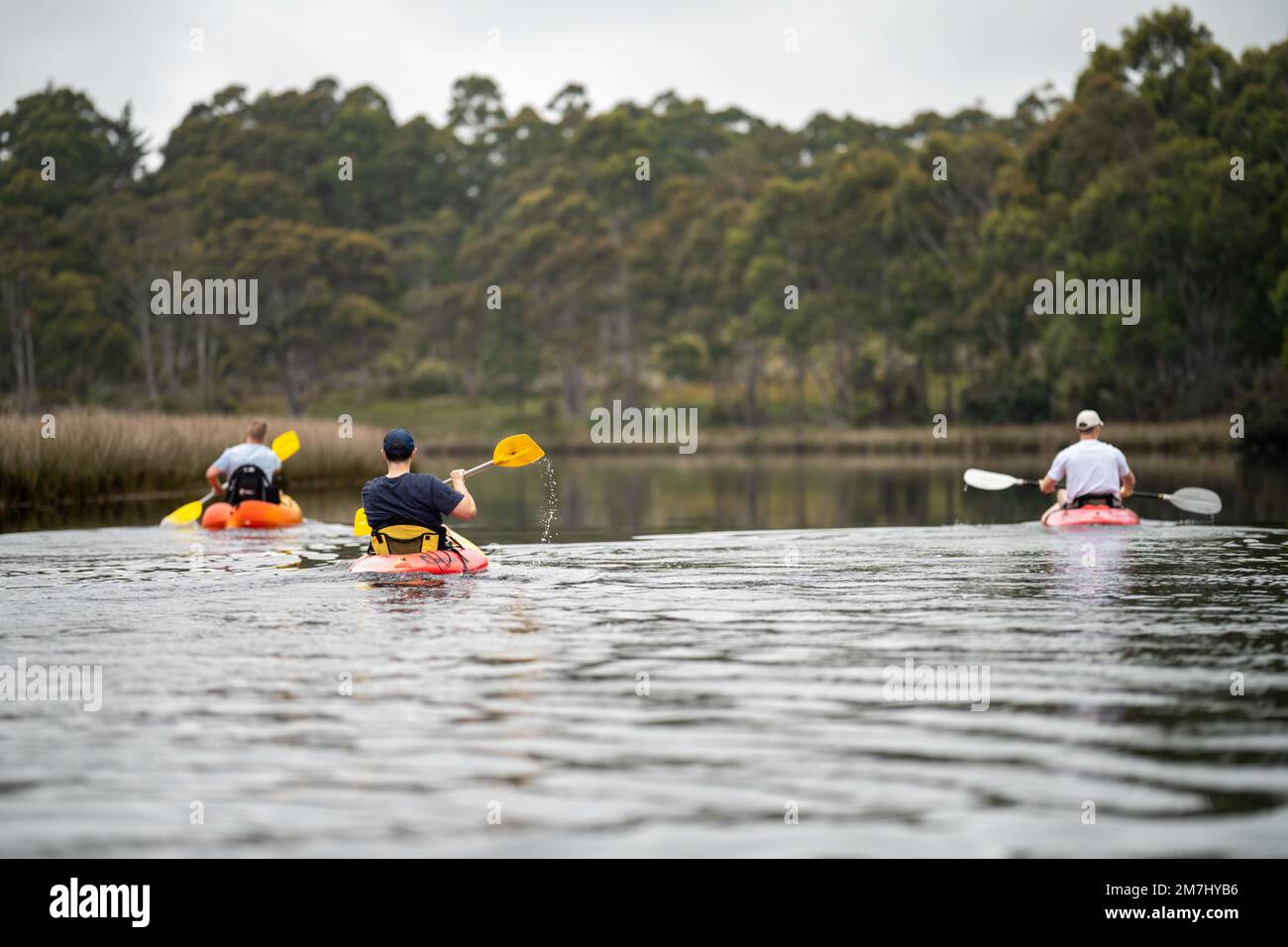 canoeing and kayaking on a river in Australia in summer Stock Photo - Alamy
