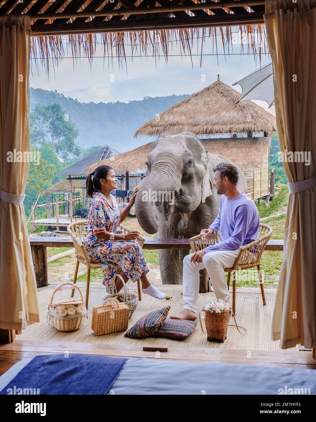 A couple visiting an Elephant sanctuary in Chiang Mai Thailand during ...