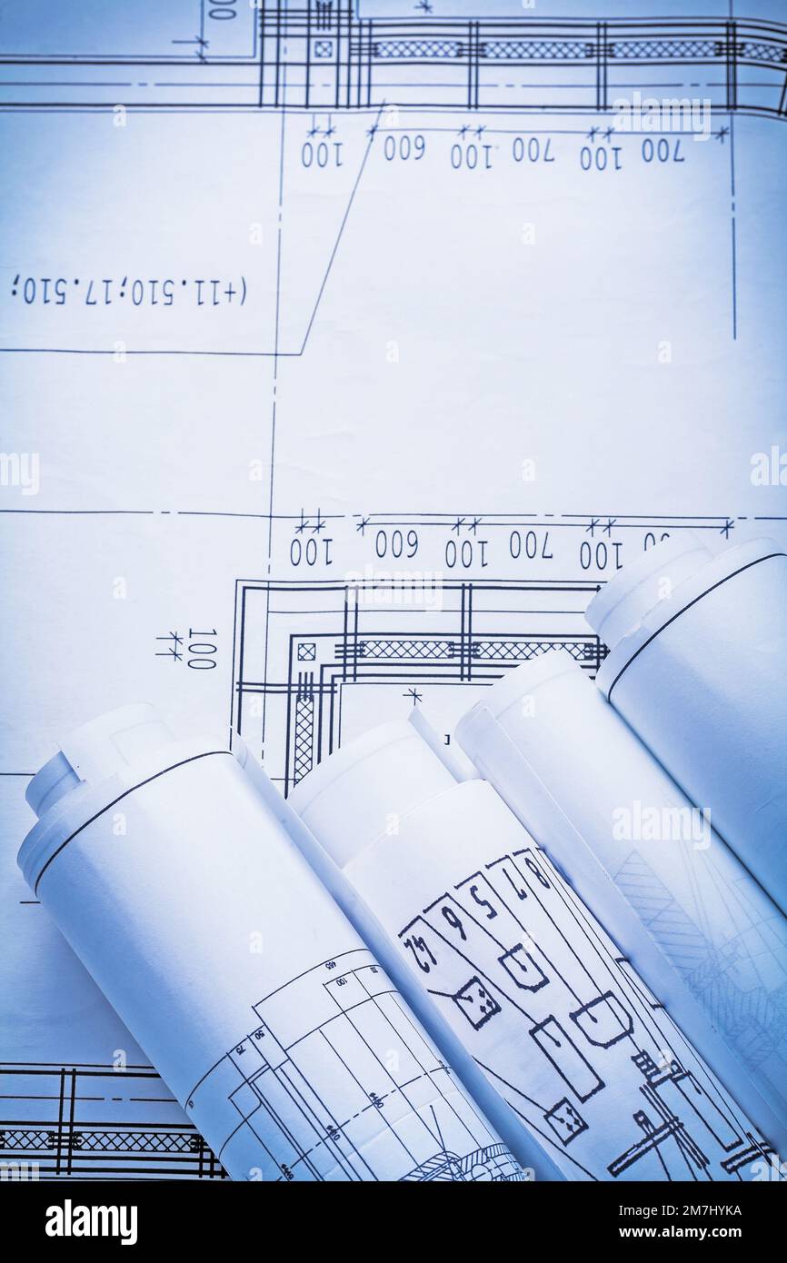 four white rolled up conctruction blueprints with copyspace for your ...