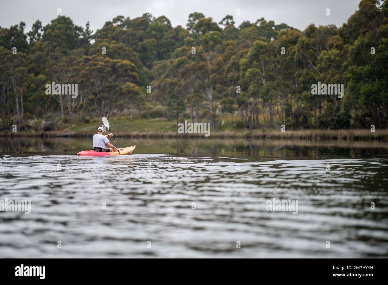 Queensland new zealand river hi-res stock photography and images - Alamy