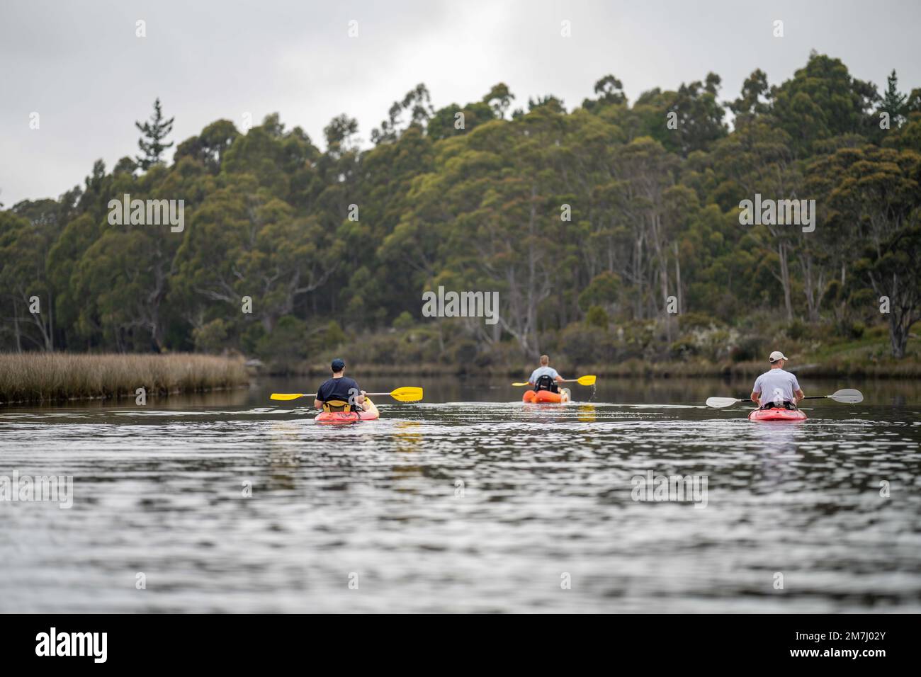 Adventure kayaking south australia hi-res stock photography and images ...