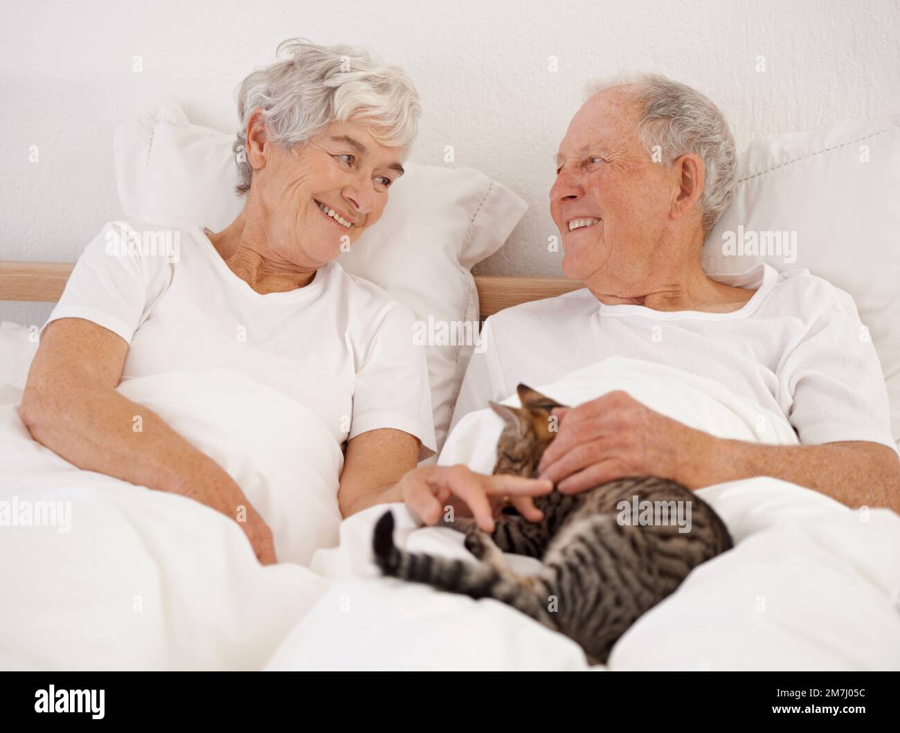 Cat in bed with woman hi-res stock photography and images - Alamy