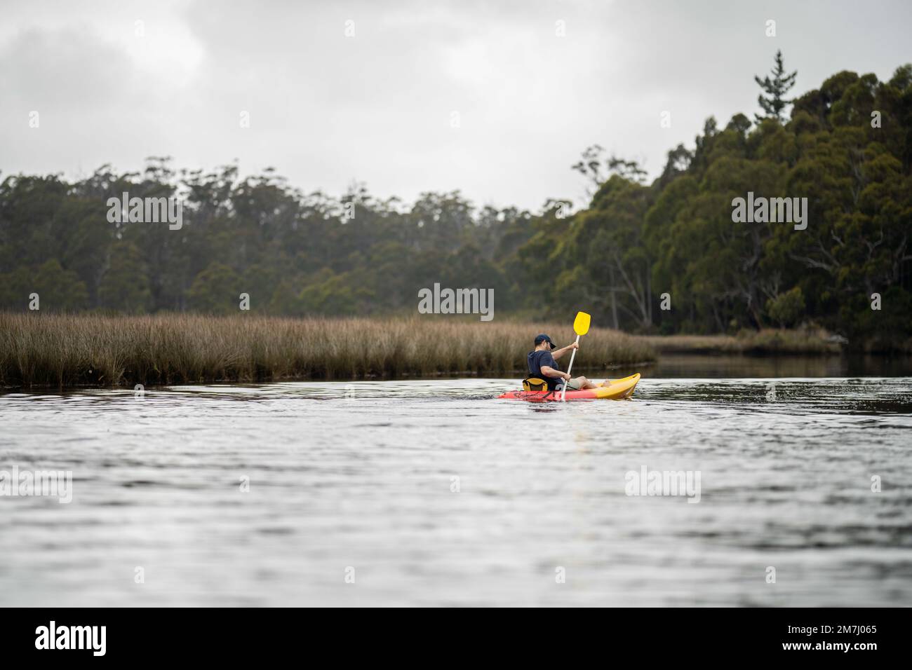canoeing and kayaking on a river in Australia in summer Stock Photo - Alamy