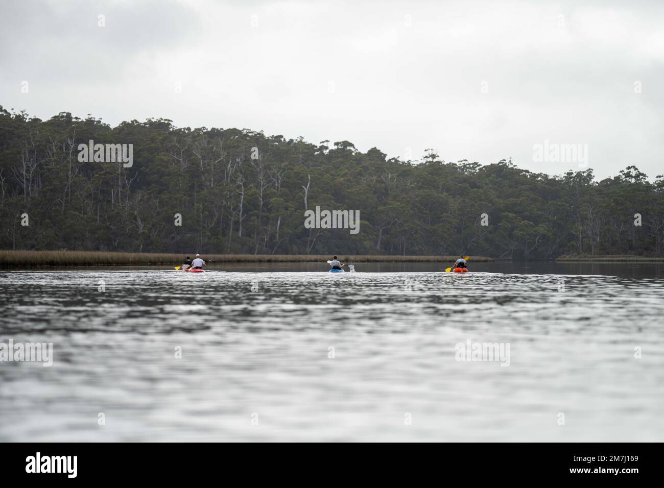 Adventure kayaking south australia hi-res stock photography and images ...