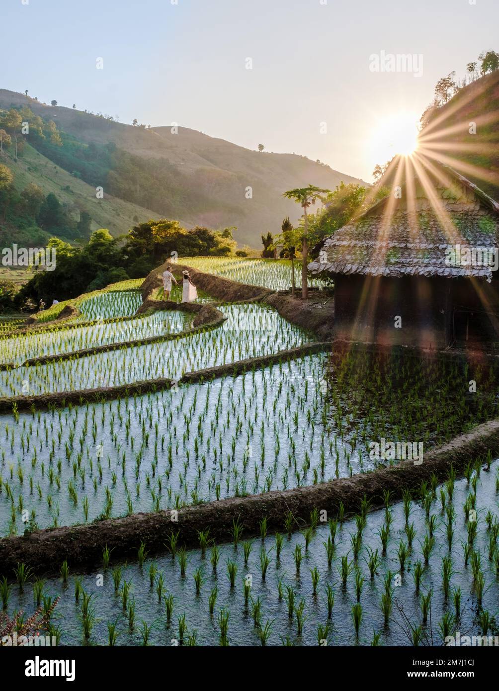 A Couple visits a rice farm with rice fields in Northern Thailand, and ...