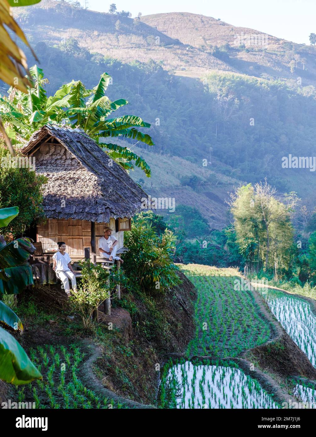 A Couple visits a rice farm with rice fields in Northern Thailand, and ...