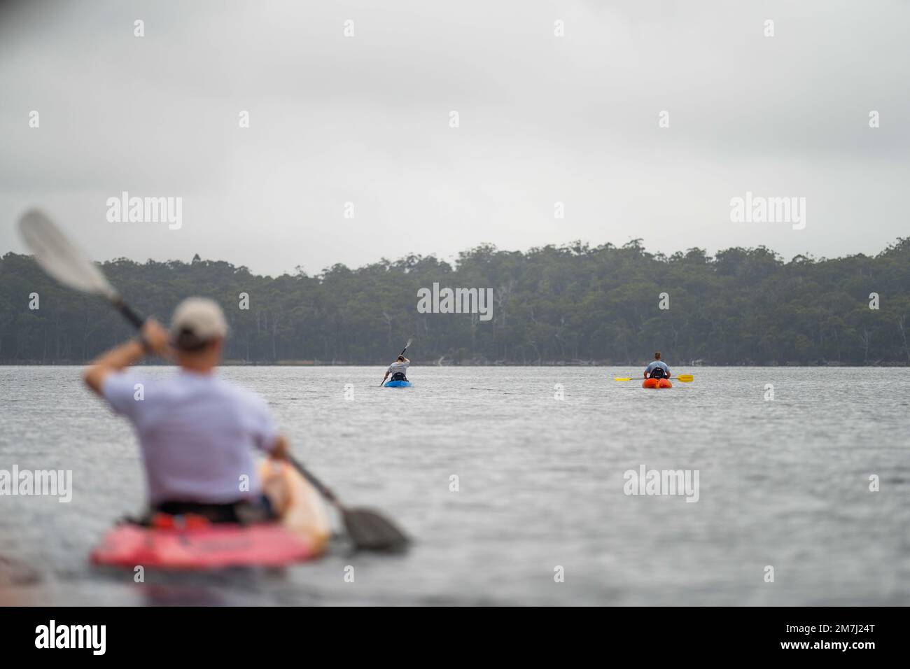 Queensland new zealand river hi-res stock photography and images - Alamy