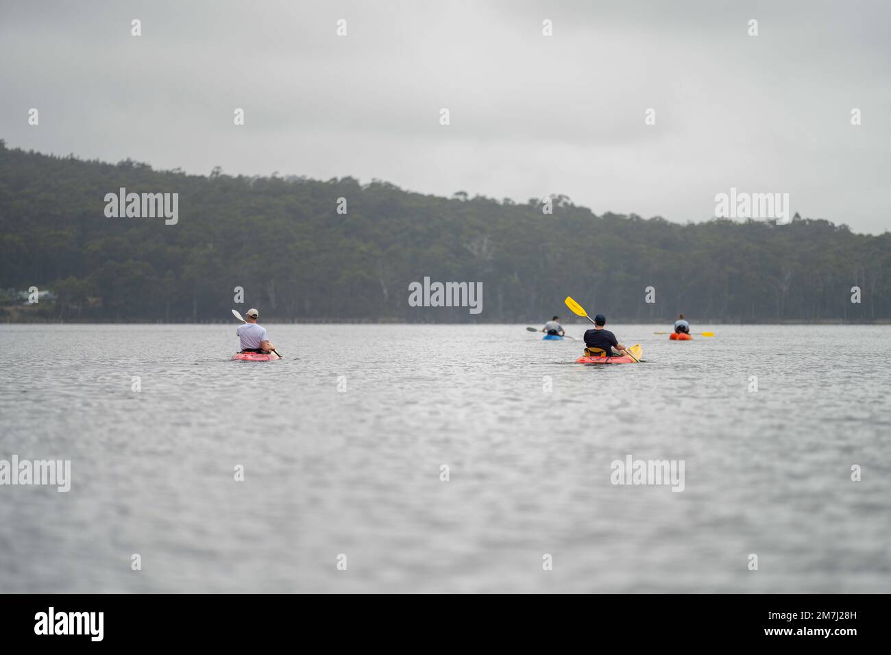 Queensland new zealand river hi-res stock photography and images - Alamy