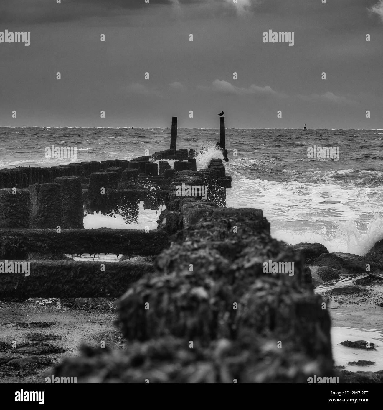 A greyscale of a pier with a sea in the background Stock Photo - Alamy
