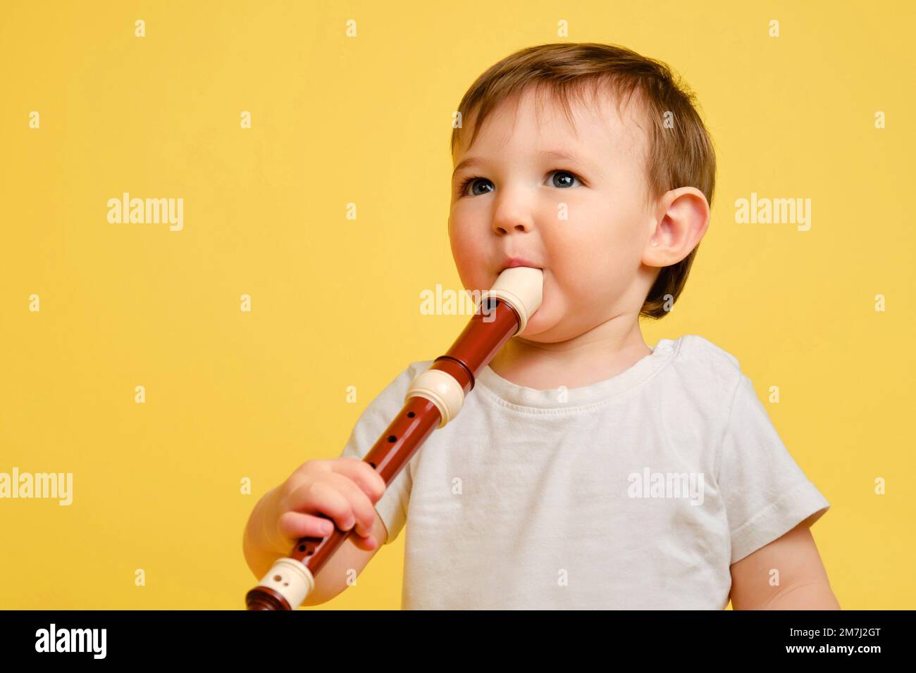 Toddler baby plays the flute, a child with a wind musical instrument on ...