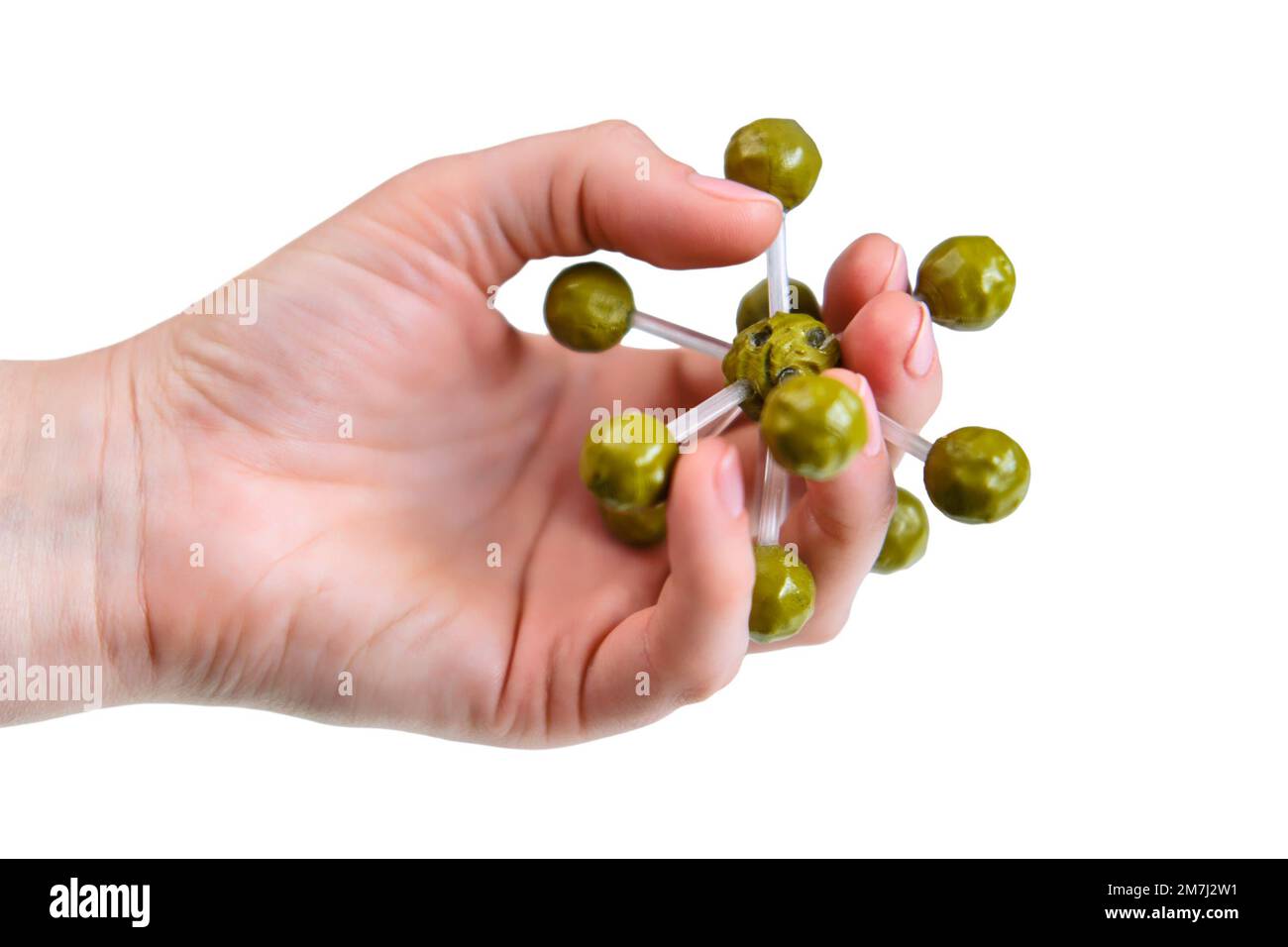 Concept of a disease-causing bacteria in the hand, isolated on a white ...