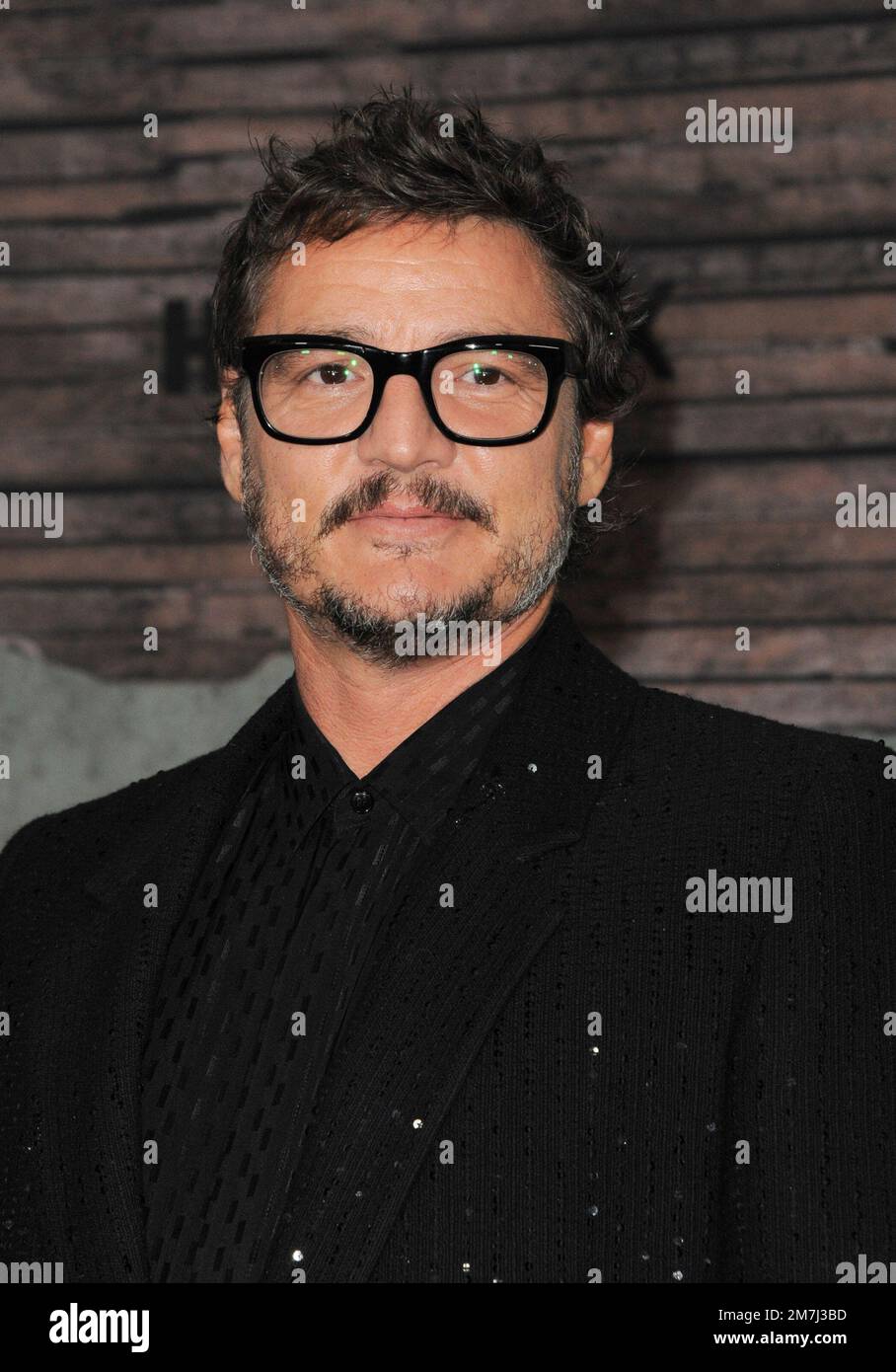 Los Angeles, CA. 9th Jan, 2023. Pedro Pascal at arrivals for THE LAST ...