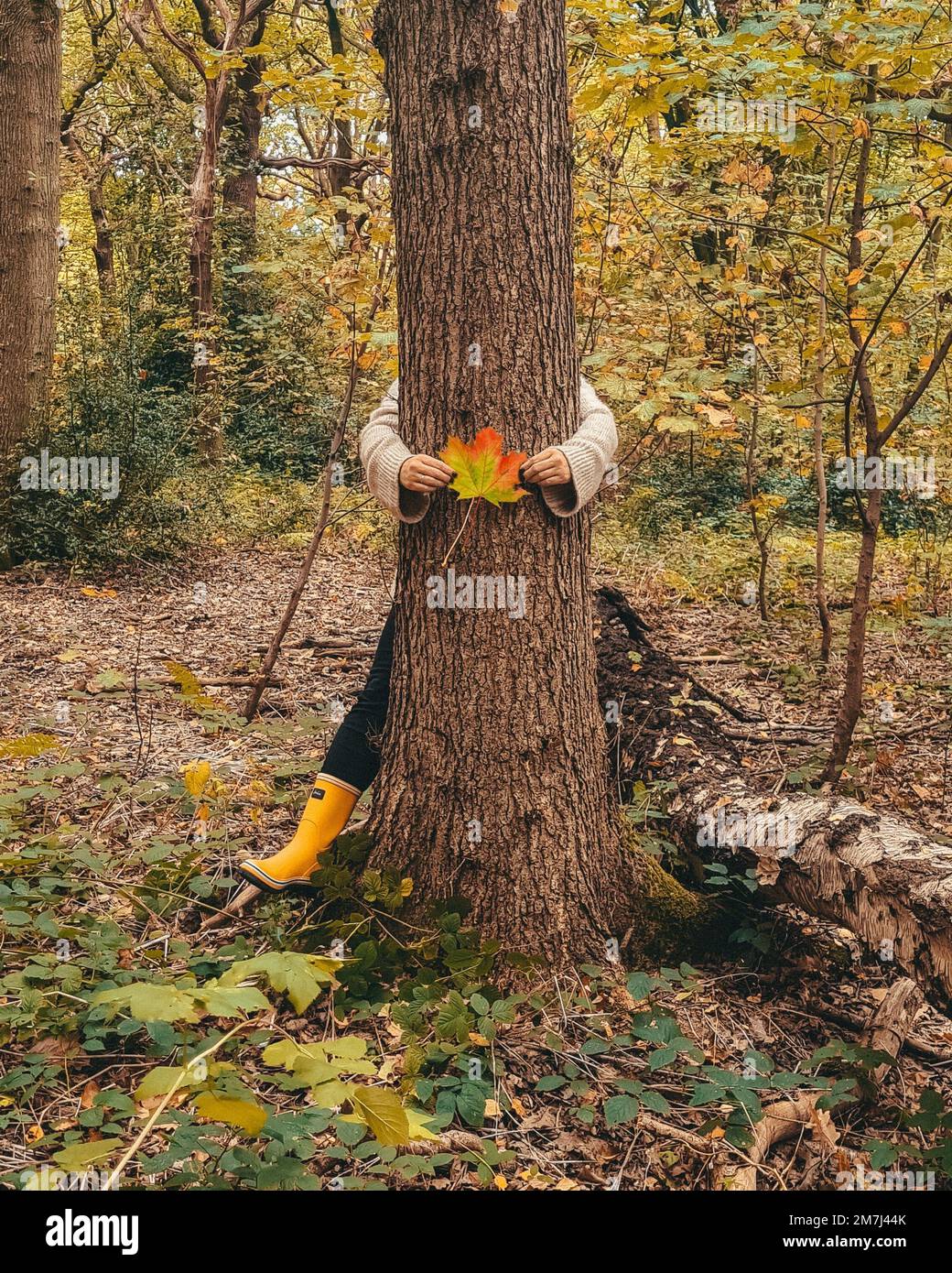 Woman behind branches leaf hi-res stock photography and images - Alamy