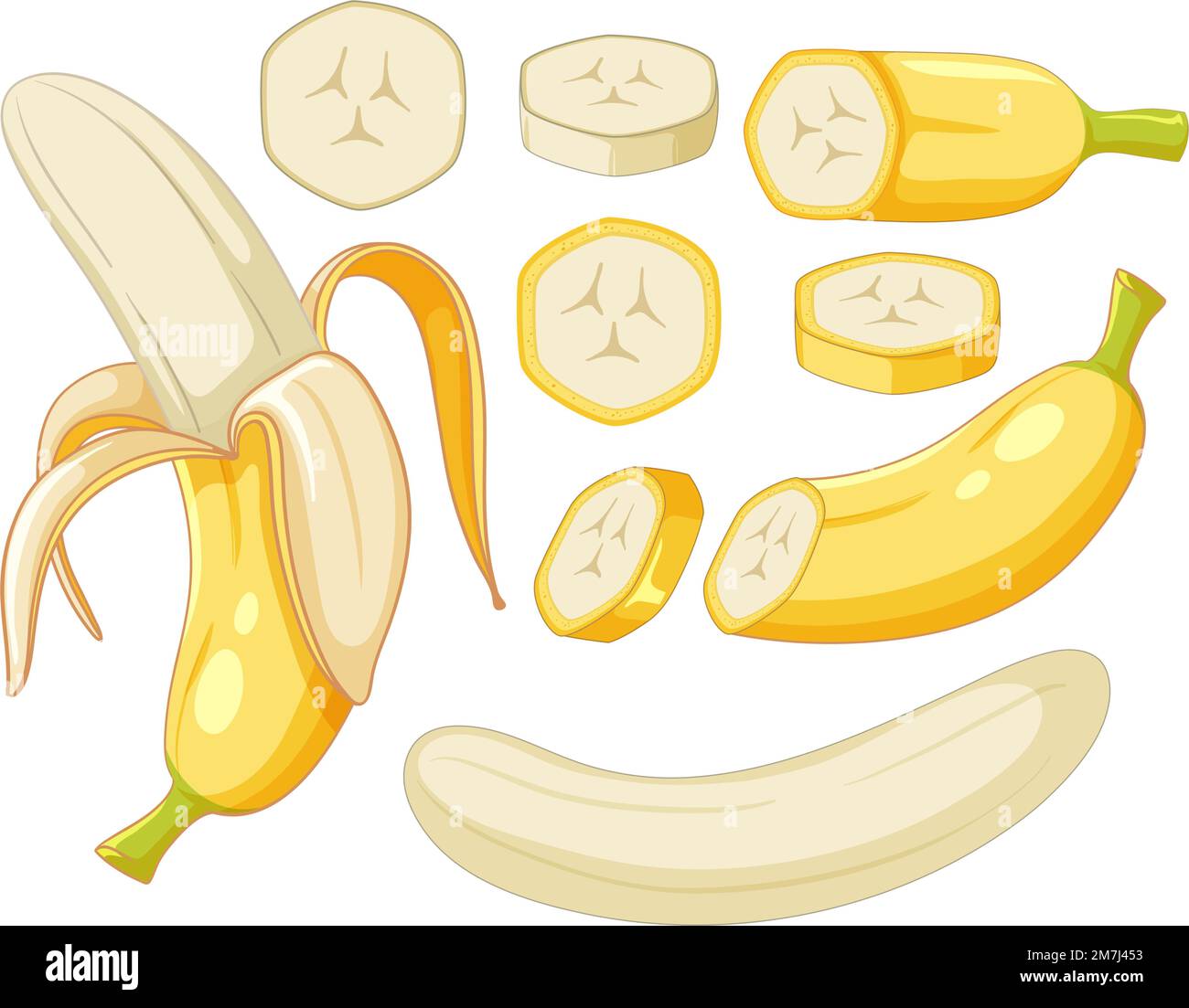 Banana bananas fruit fruits healthy peeled food Stock Vector Images - Alamy