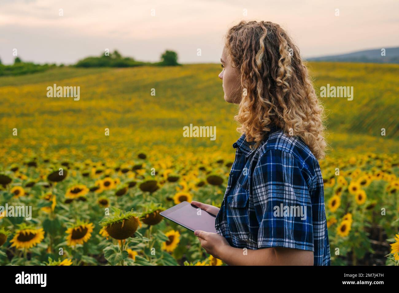 Farm landscape smart agriculture analyzing hi-res stock photography and ...