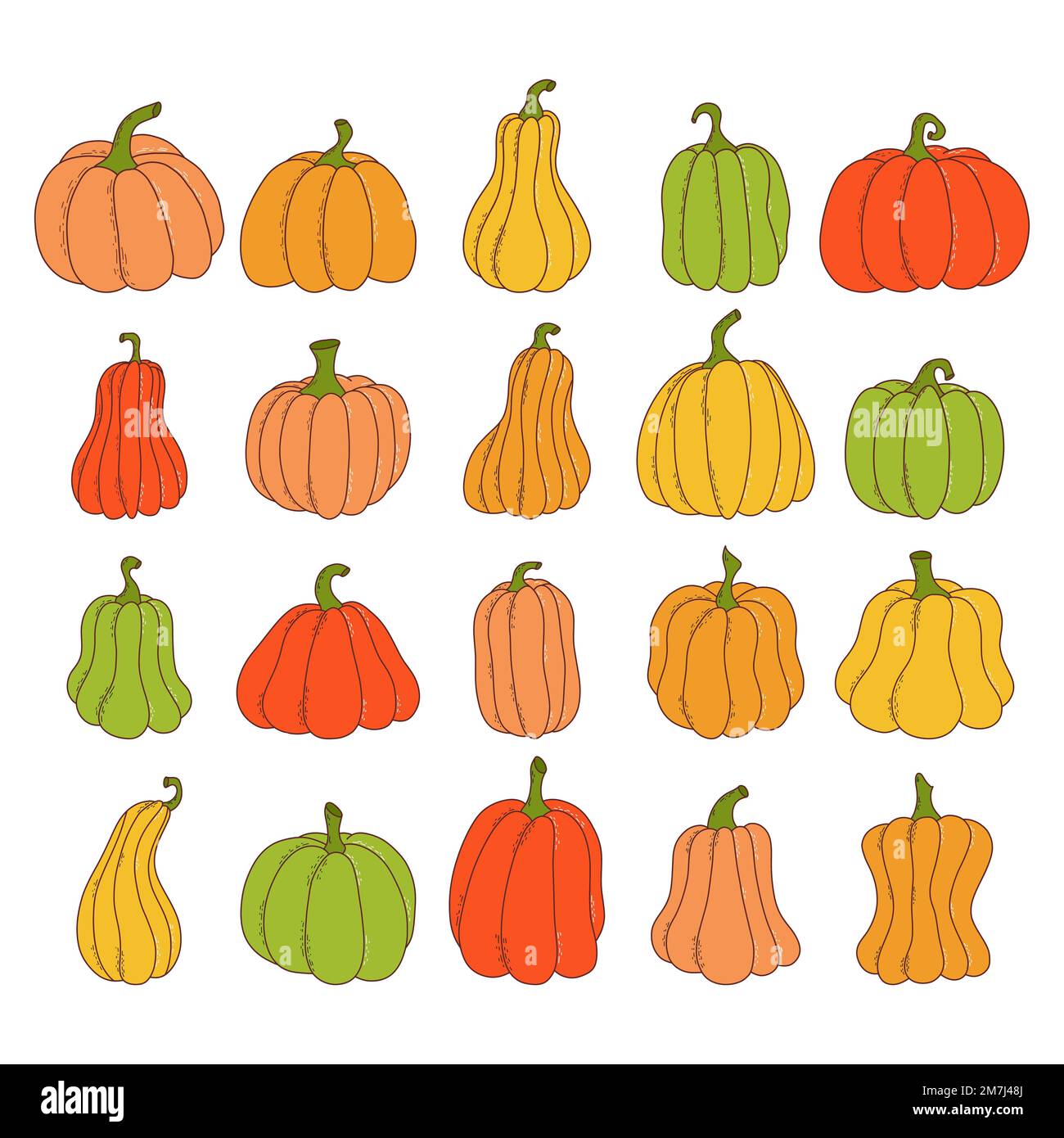 Set of pumpkin of various shapes and colors. Thanksgiving and halloween ...