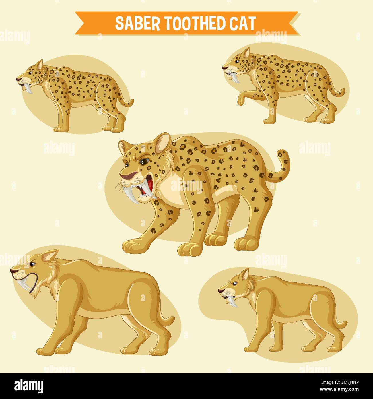 Set of saber toothed cat cartoon character sticker illustration Stock ...