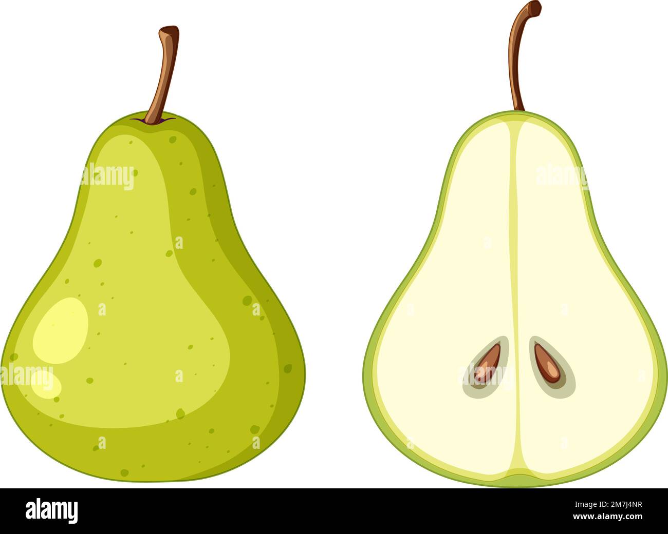 Green pear and half of pear illustration Stock Vector Image & Art - Alamy