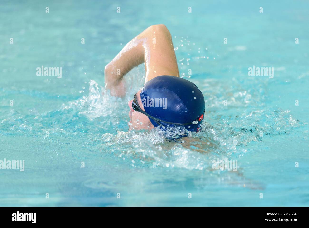 freestyle swimmer underwater in swimming lane Stock Photo - Alamy