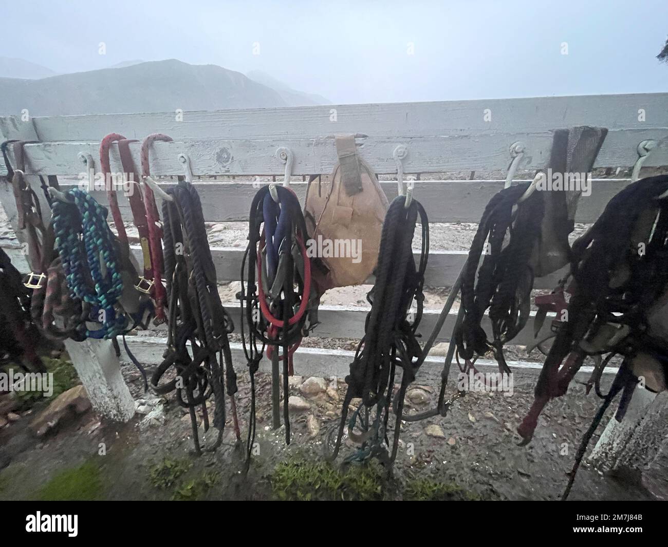 Santa Barbara California U S A 9th Jan 2023 Horse Tack Hangs From santa-barbara-california-u-s-a-9th-jan-2023-horse-tack-hangs-from