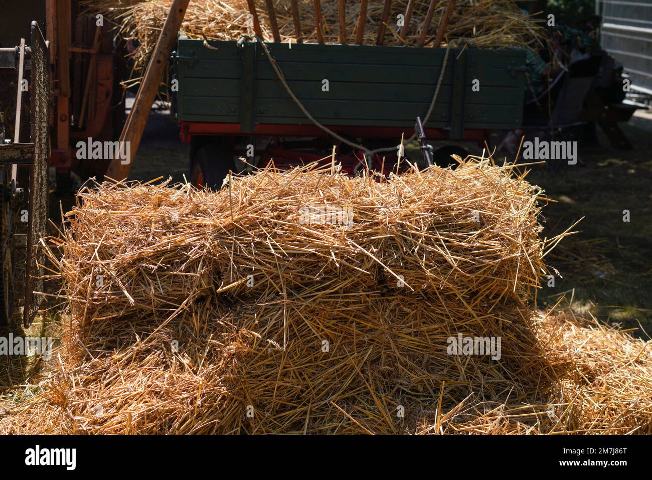 Grain harvest and processing with old traditional equipment Stock Photo ...