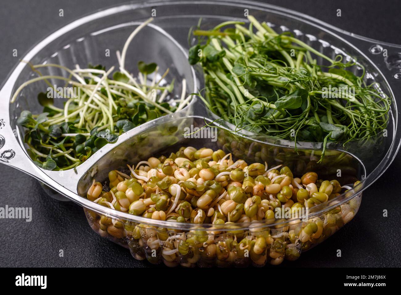 A set or mix of pea, mustard and sprouted mung bean microgreens in a ...
