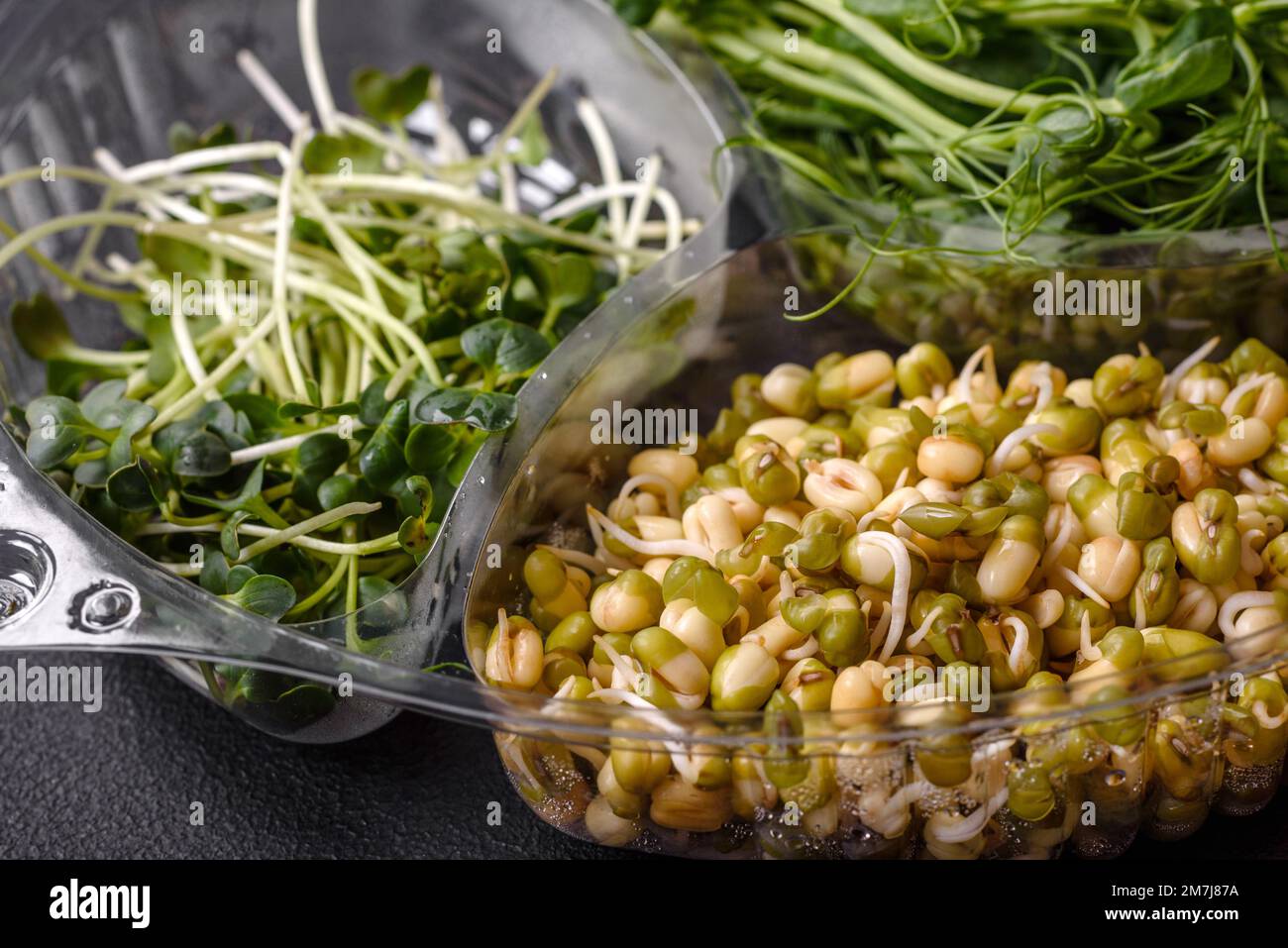 A set or mix of pea, mustard and sprouted mung bean microgreens in a ...