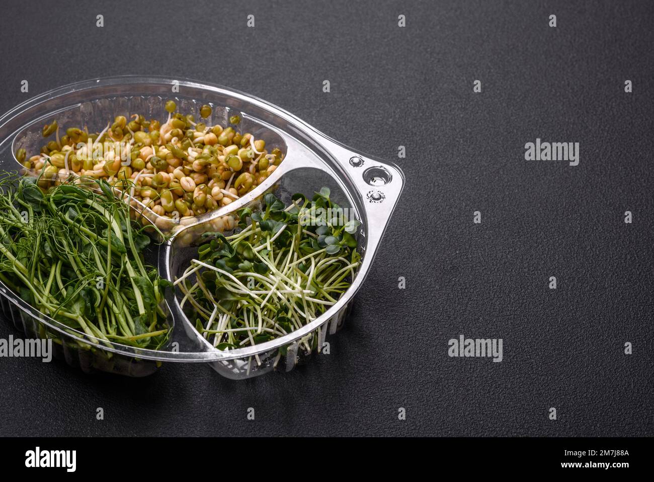 A set or mix of pea, mustard and sprouted mung bean microgreens in a ...