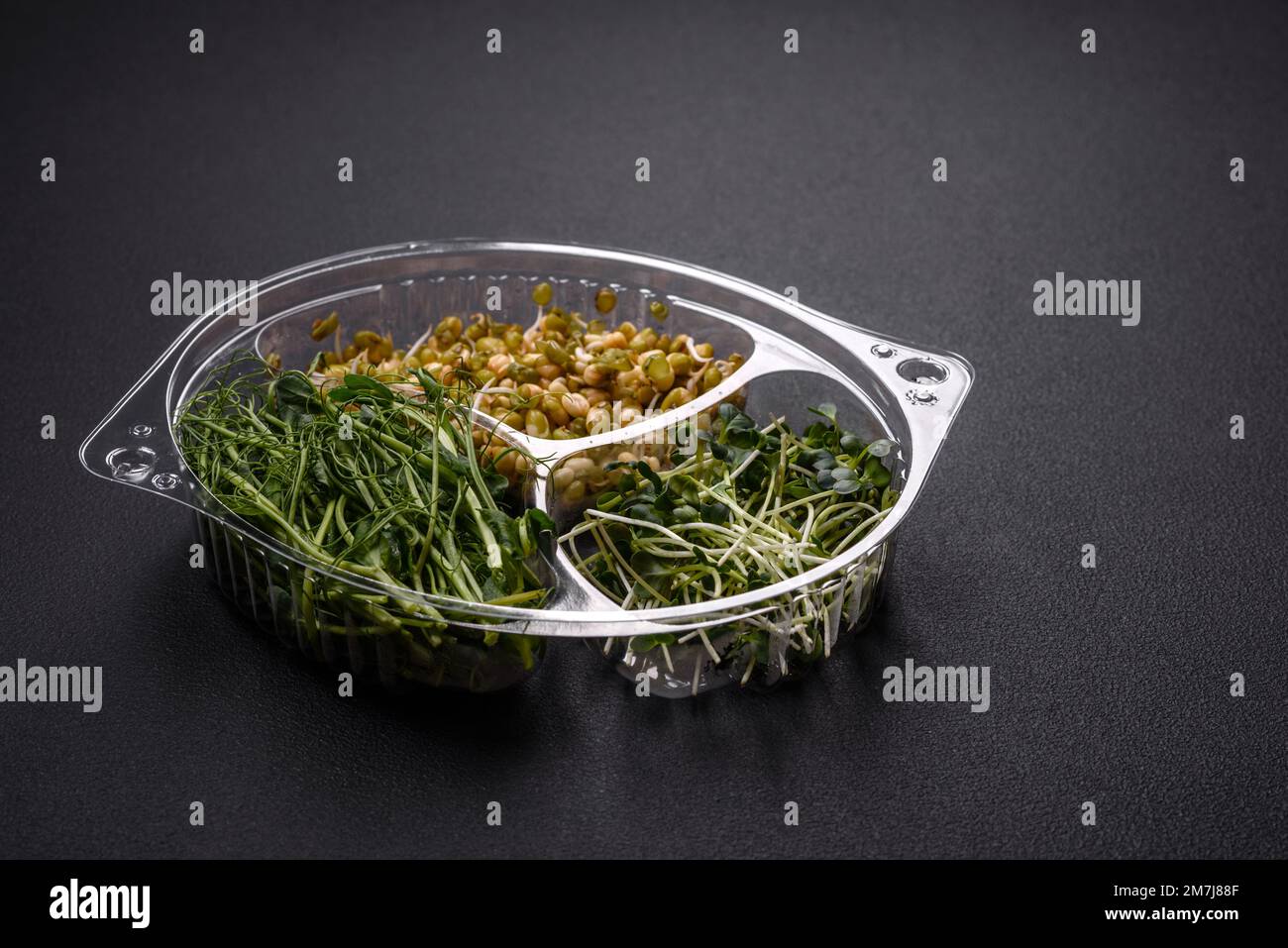 A set or mix of pea, mustard and sprouted mung bean microgreens in a ...