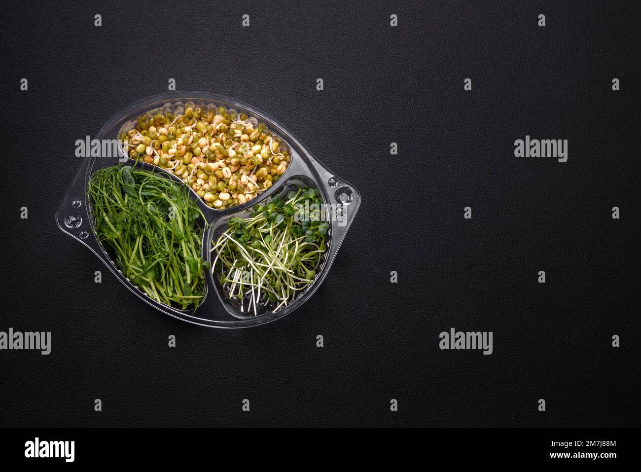 A set or mix of pea, mustard and sprouted mung bean microgreens in a ...