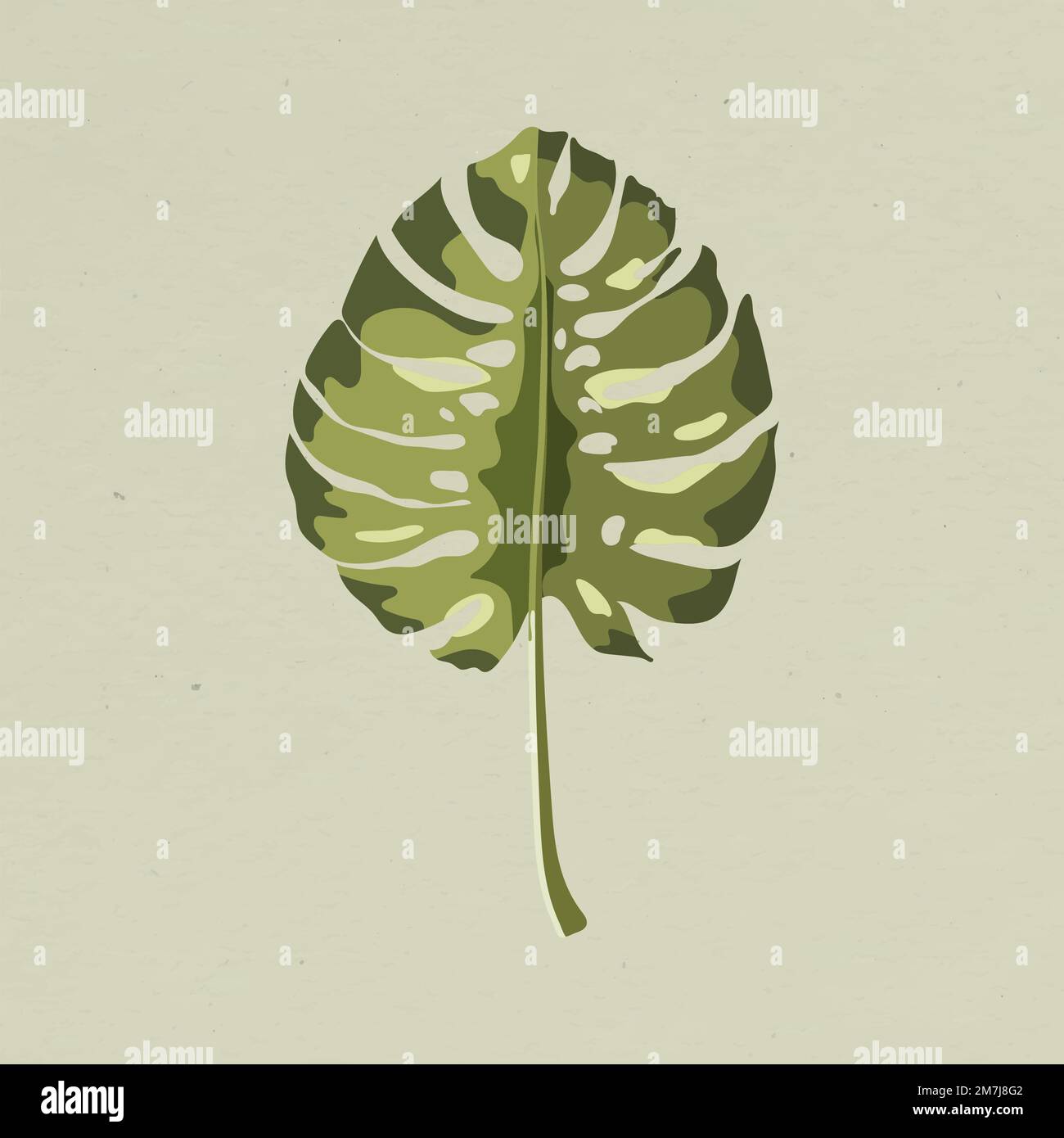 Green monstera leaf design element llustration Stock Vector Image & Art ...