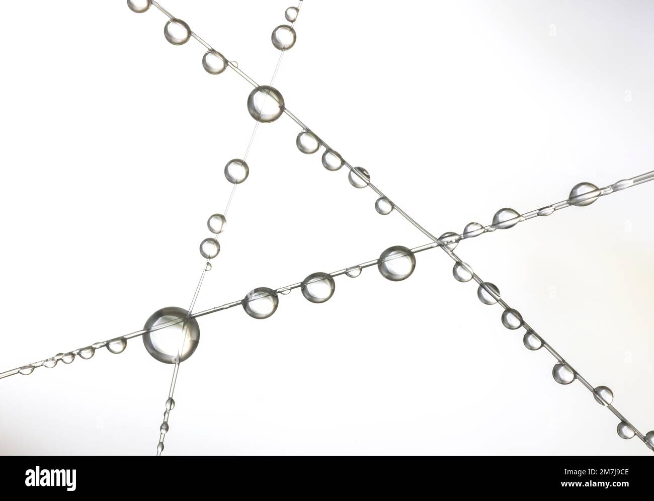 Water droplets on a fine web refracting coloured light Stock Photo - Alamy