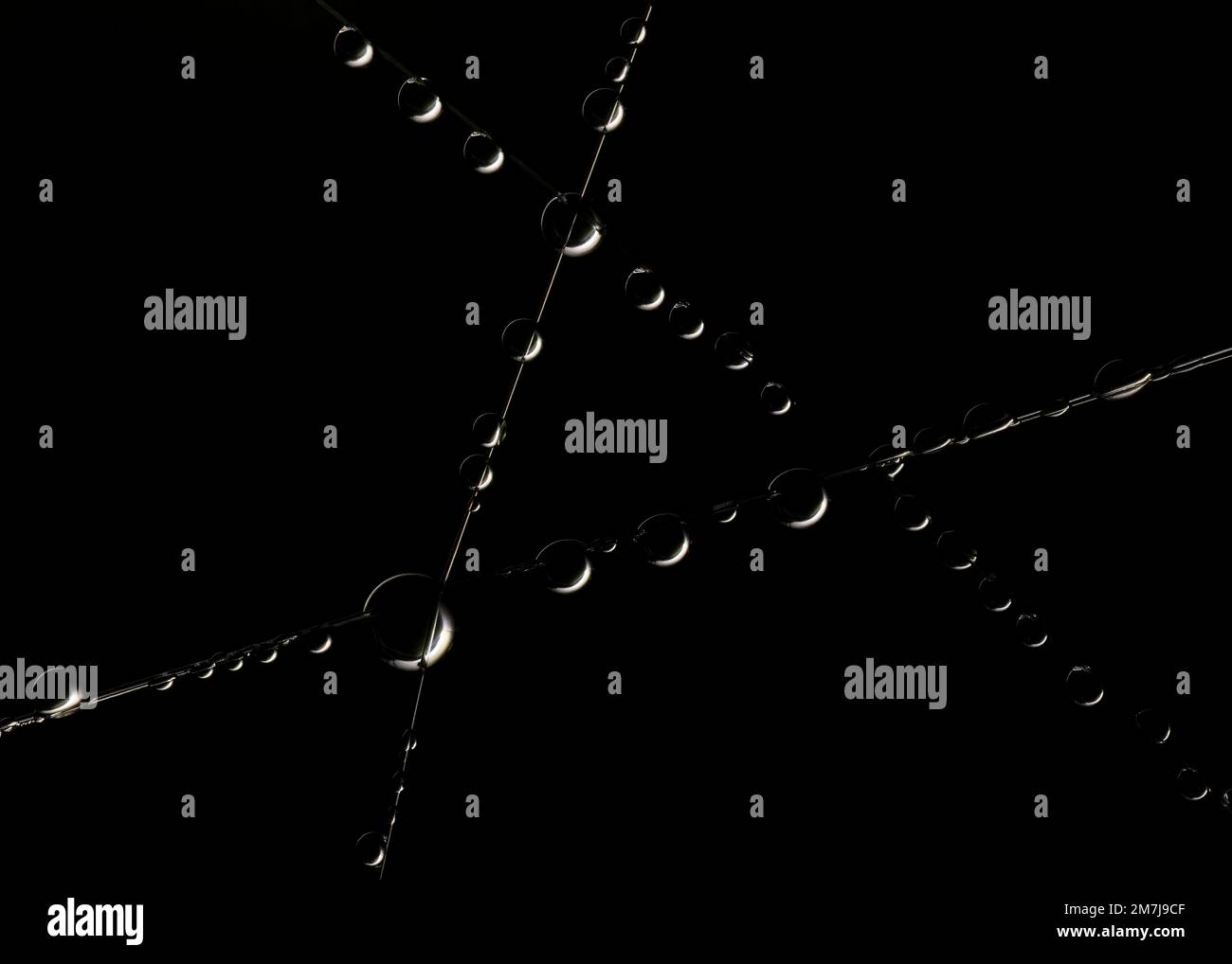 Water droplets on a fine web refracting coloured light Stock Photo - Alamy