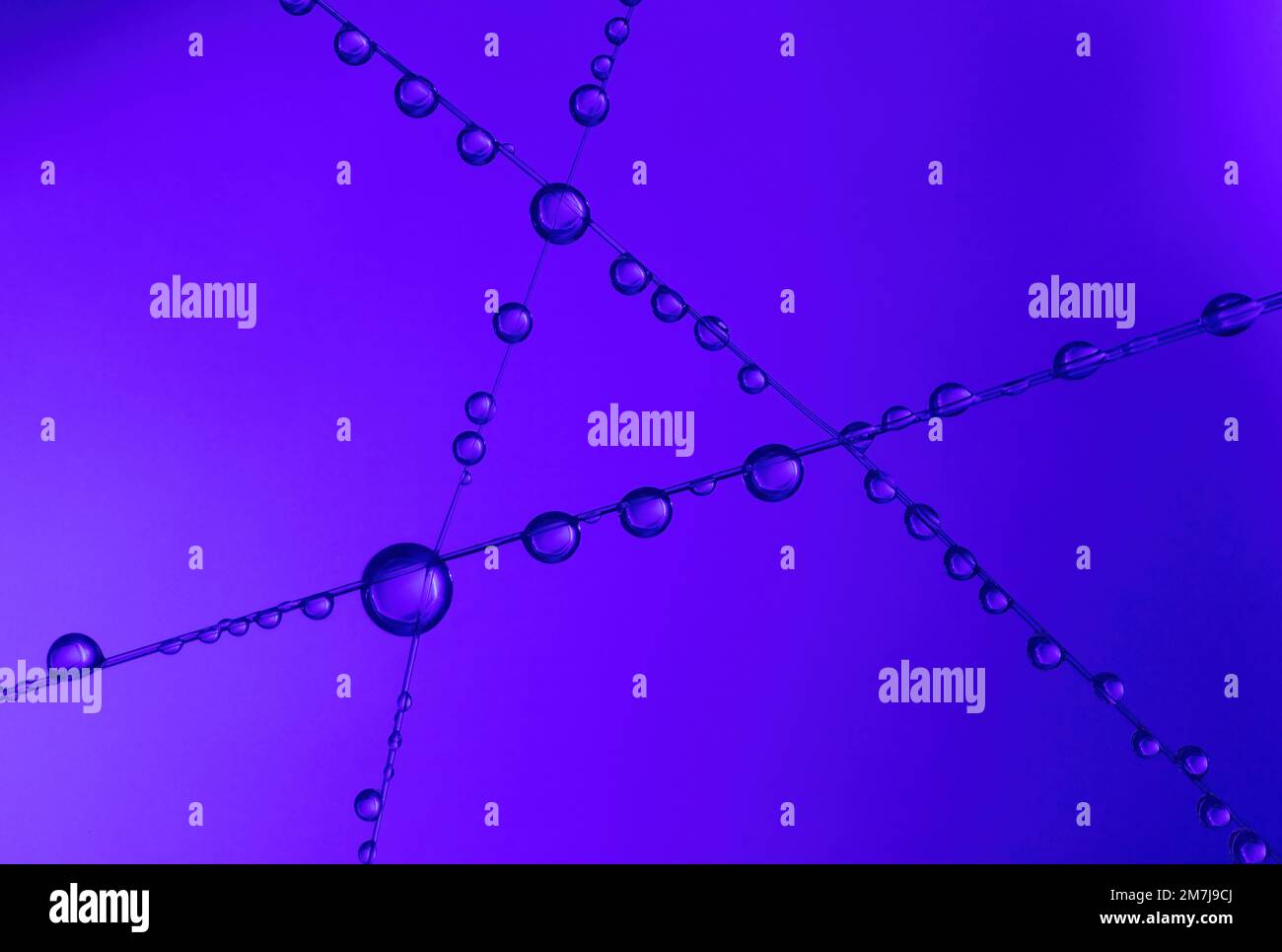 Water droplets on a fine web refracting coloured light Stock Photo - Alamy