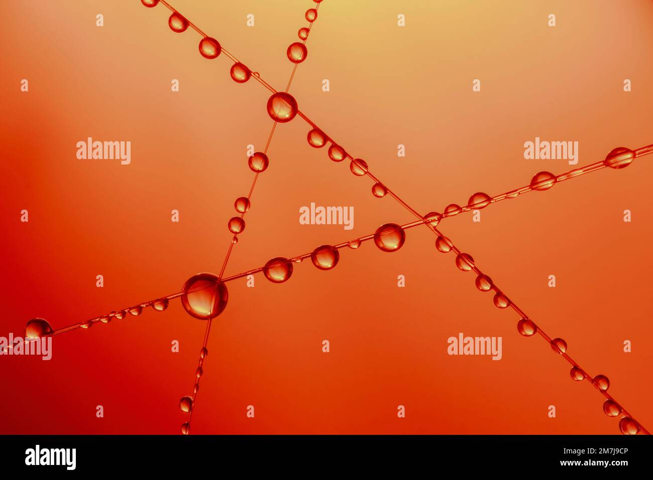 Water droplets on a fine web refracting coloured light Stock Photo - Alamy